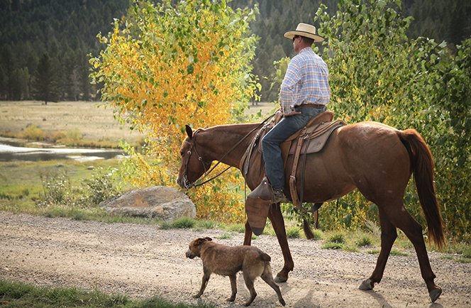 Cowboy Nissehatt 5 Cowboy Inspired New Year's Resolutions | Top50