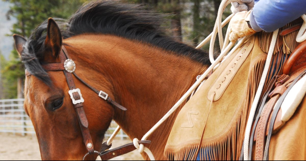 How to look the cowboy part | Top50 Ranches