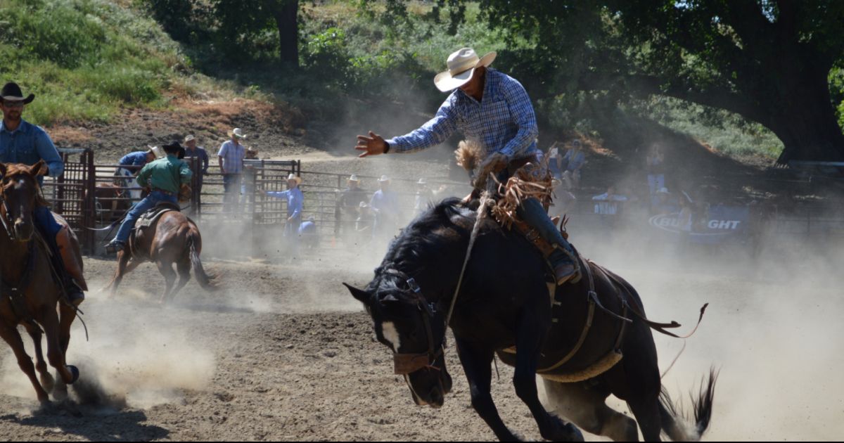 Top 5 Rodeos - Try an authentic Rodeo then head to a Top50 Ranch ...