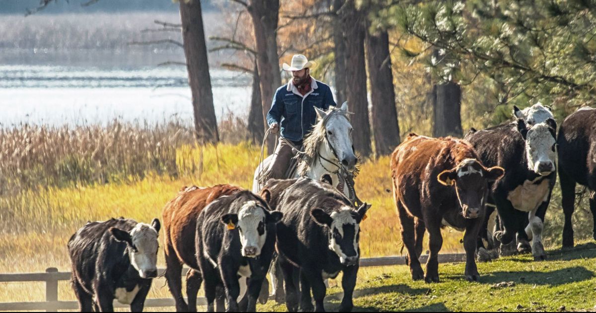 Ranch Vacations Heralded To Be The Travel Trend Of 2018! | Top50 Ranches