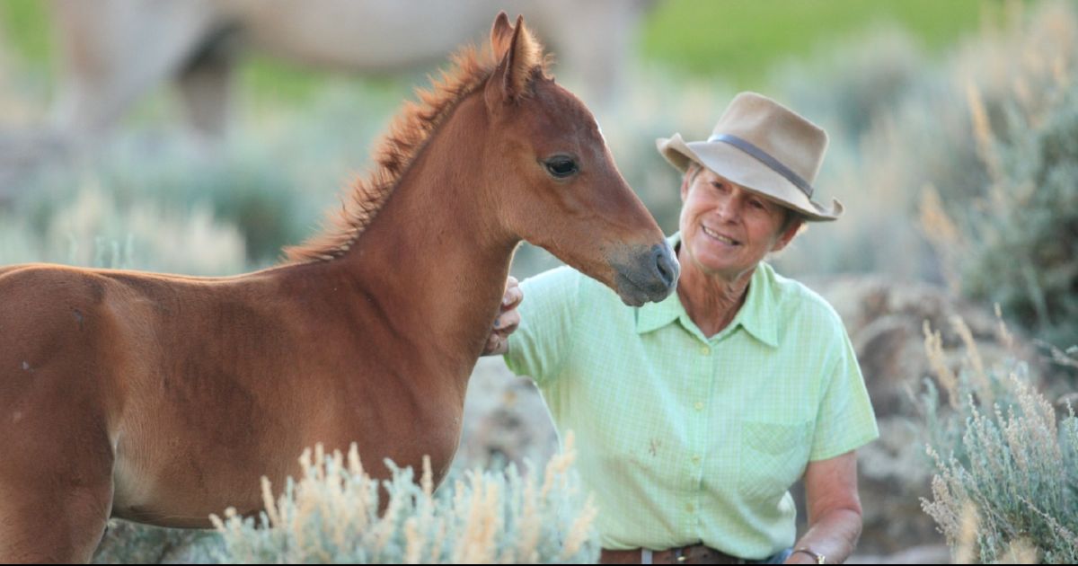 5 Easy Ways To Connect With Your Horse On A Dude Ranch Vacation | Top50 ...