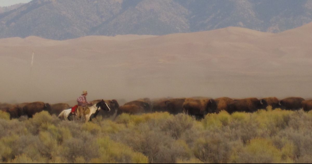 Why Dude Ranch Vacations Are Perfect For Solo Travelers | Top50 Ranches