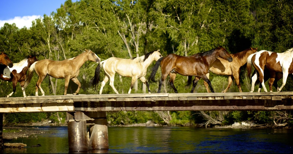 11 Affordable June Ranch Vacation Destinations | Top50 Ranches