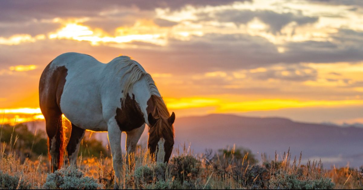 10 things you can do on a ranch that you NEVER would back home! | Top50 ...