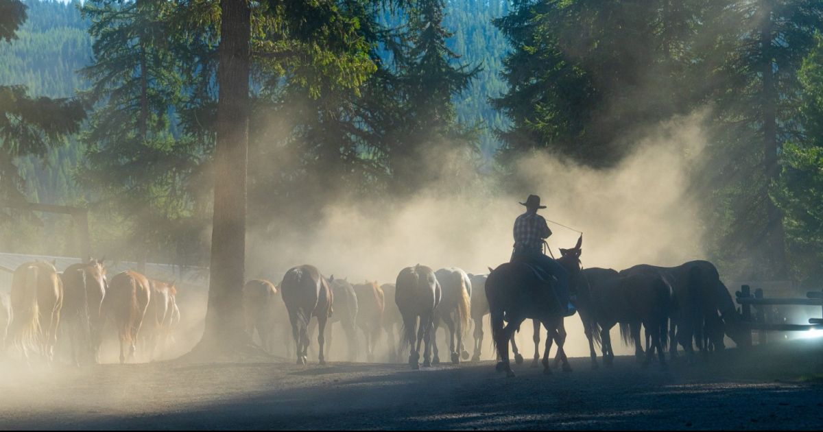 Working ranch vacation of the month: McGinnis Meadows, Montana | Top50 ...
